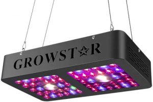 TOP 25 BEST LED GROW LIGHTS 2021 | Mold Resistant Strains